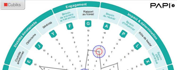 Le PAPI : un test de personnalité historique, à l'épreuve du temps | GetPro